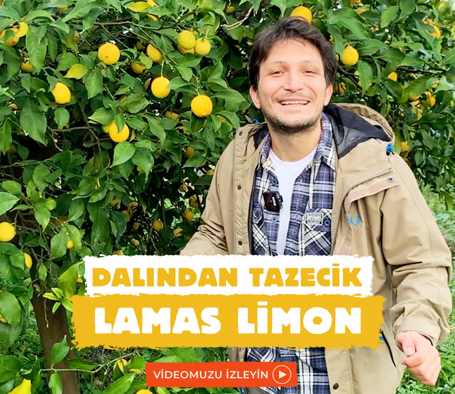 Lamas Limon 3 Kg | PortakalBahçem Teruarında Yetiştirdiğimiz Mahsullere ...