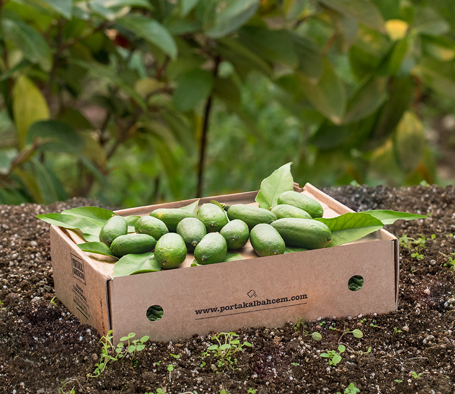 Rimona Limon 3 Kg | PortakalBahçem Teruarında Yetiştirdiğimiz ...